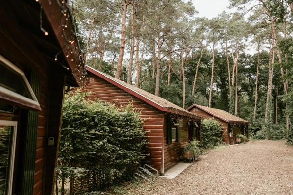 Cozy Cottages By Bed En Boshuisjes - Oisterwijk