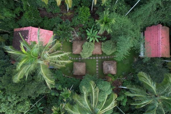 El Valle - Wayanad