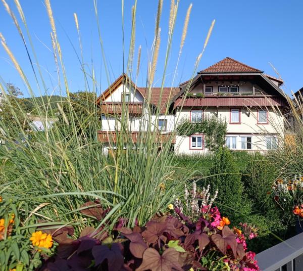 Ferienwohnung Schelklewiese - Baiersbronn