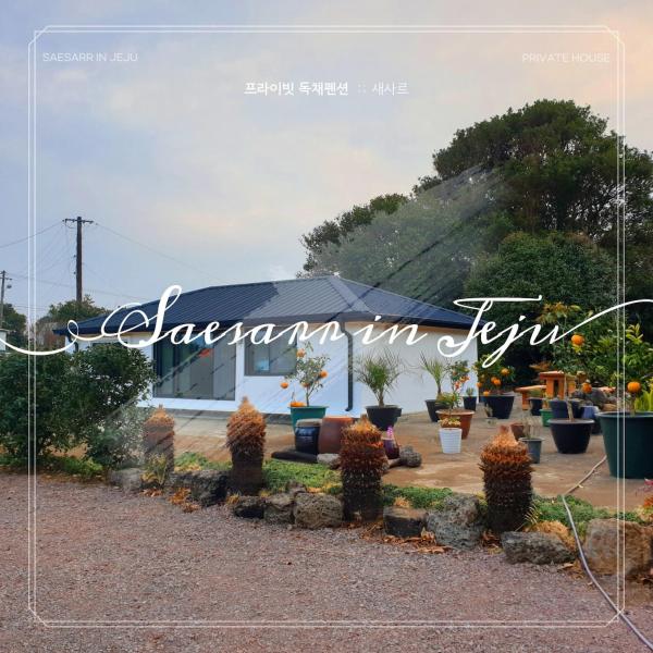 Private Stay In Mandarin Orchard, 100m From Sea - Jeju-do