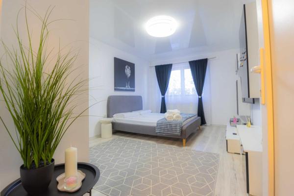 Modern Apartment Near Deta Thermal - Deta