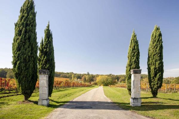 Maison De Charme Au Coeur Des Vignes - Dordogne