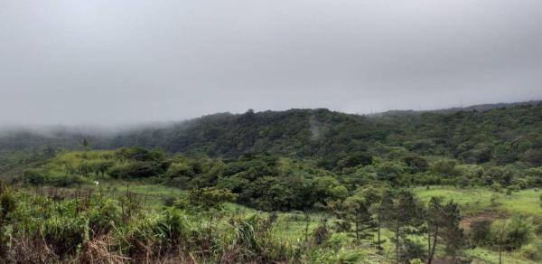 Tranquil 2-bedroom House Retreat Near S - Costa Rica