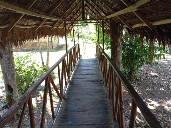 Amazon Lodge And Expeditions - Amazonas, Colombia