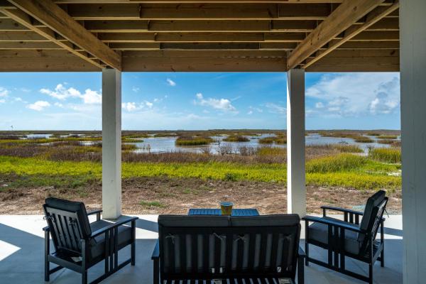 Birds On The Bay - Rockport, TX