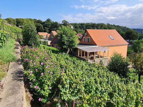 Ferienwohnung Riesling - Riesa