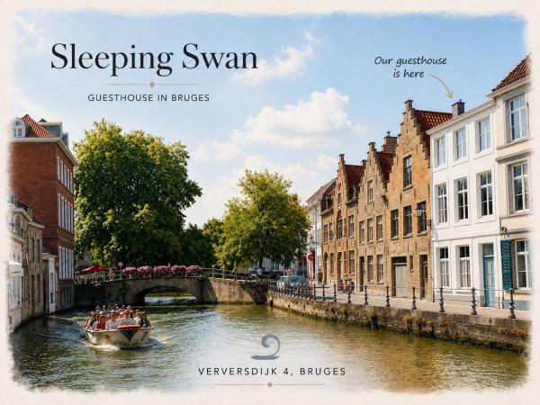 Sleeping Swan - Bruges