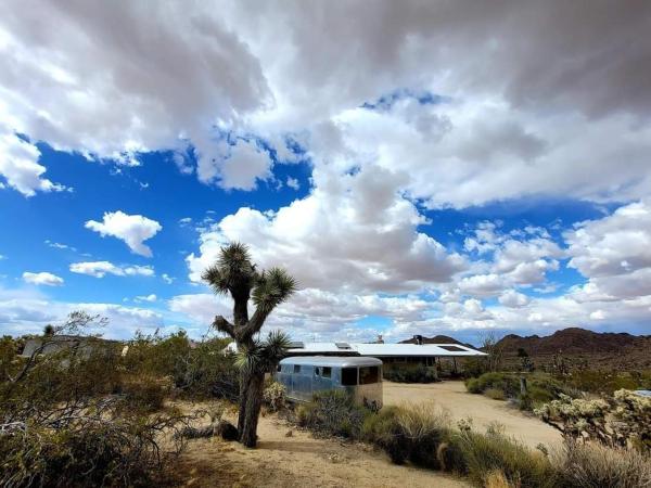 Steph's Panorama Paradise-nat'l Park Minutes Away - Joshua Tree, CA