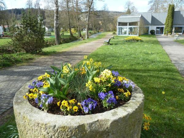 Ferienwohnung Rhön Und Ruhe - Bad Brückenau