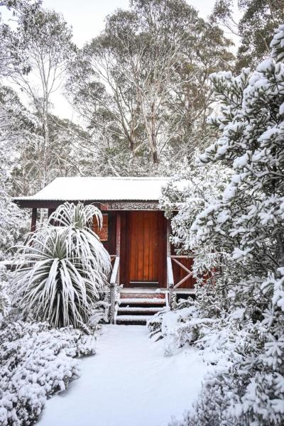 Cradle Highlander - Cradle Mountain