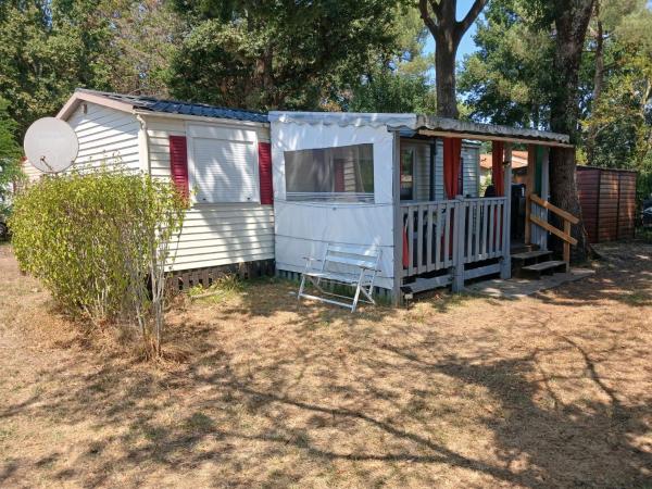 Bungalow - La Palmyre