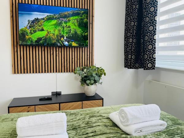 Modern Executive Studio Apartment Central Swindon - 斯文敦