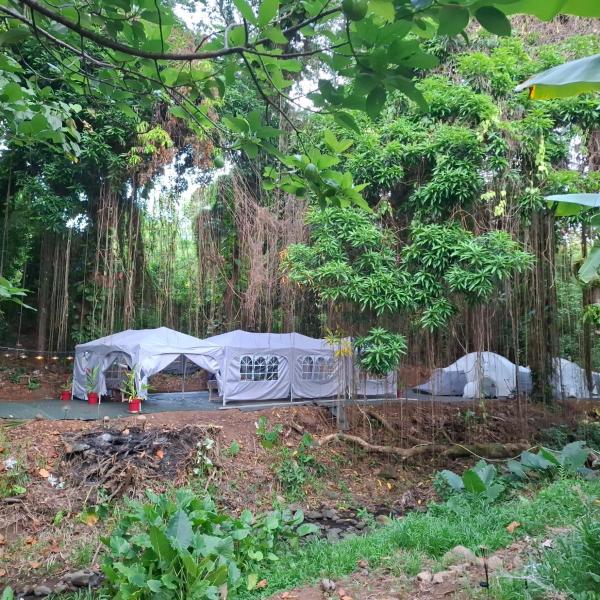 Heaven View - Martinique