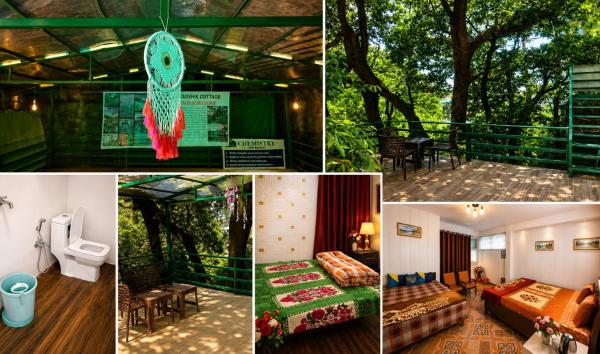Jungle Wala Zostel- 3 Min Walk From Mall Road - Mussoorie