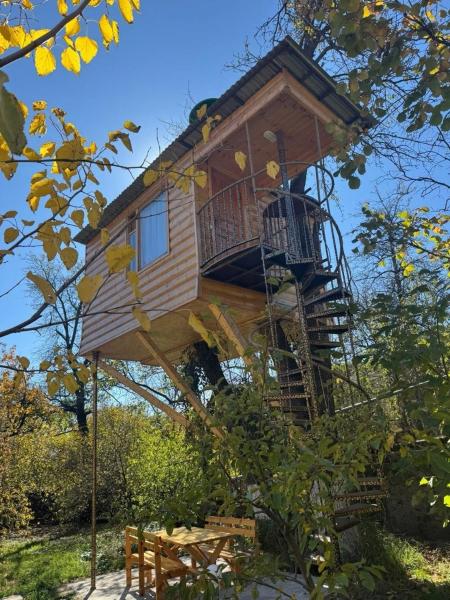 Tree House & Camping Goris - Armenia