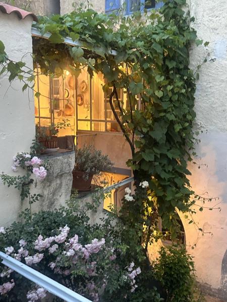 La Robina Maison - La Salvetat-sur-Agout