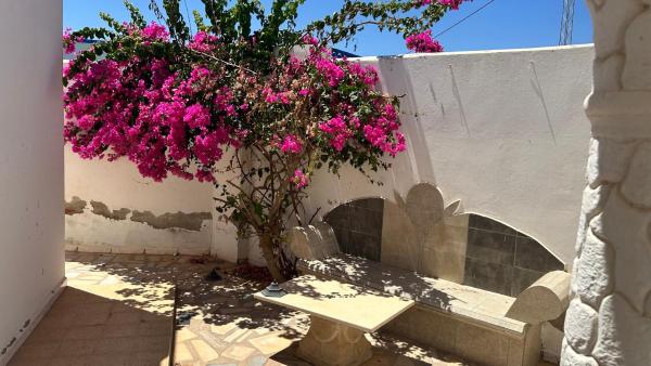 Maison Djerba Midoun - Djerba