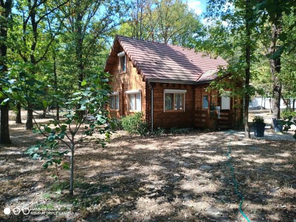 Chalet En Sologne - Sologne
