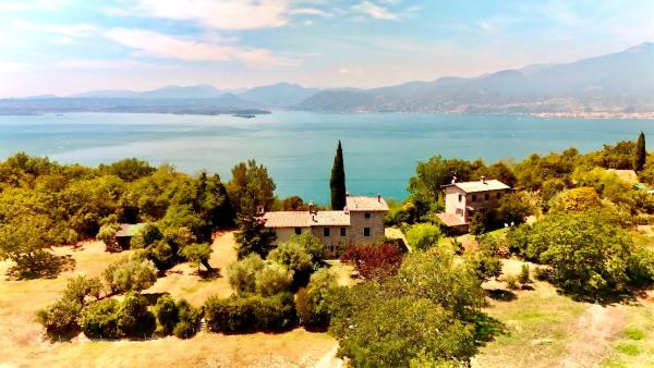 Tenuta Degli Ulivi - Garda