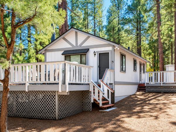 Cedar Pines - Fireplace, Deck, Barbecue, Close To Hiking Trails - Sugarloaf, CA