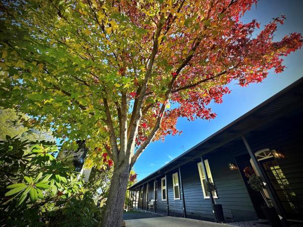 The Dudley Boutique Hotel - Hepburn Springs