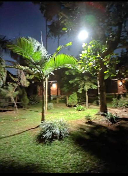Jkm Vacation Rental Accommodations - Kampala - Kampala