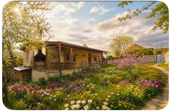 Dendro House - Armenia
