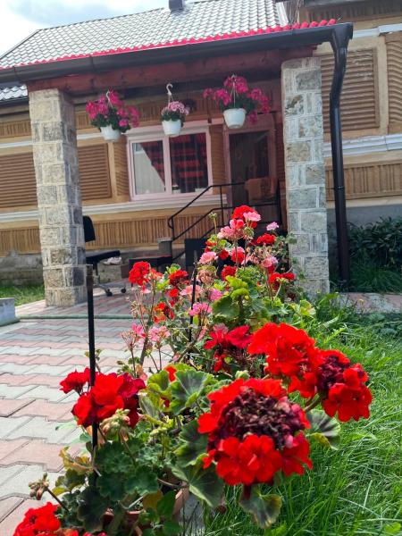 Casa Traditionala Subcetate - Roumanie