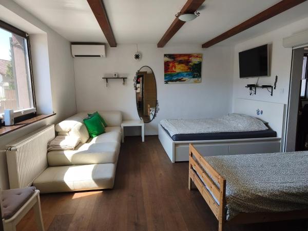 Private House Near Terme ČAtež - Slovenia