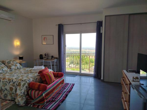 Guest-house De L’amandier - Vue Cité Médiévale - Languedoc-Roussillon