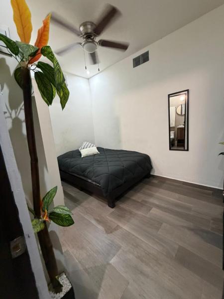 Departamento B En Corazon De San Nicolas Centrico - Monterrey