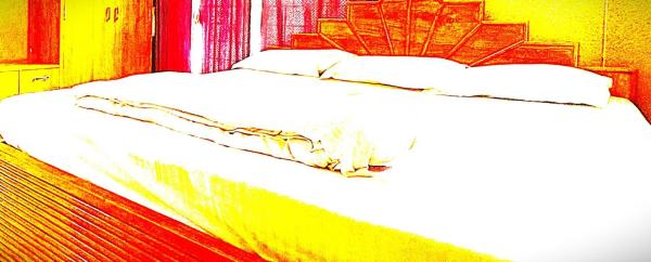 The Mayur In Solan - Solan