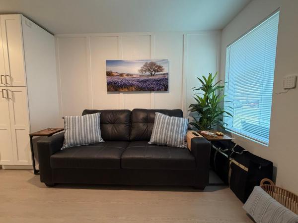 Modern Cozy 2 Br 2 Ba Retreat Near San Antonio - Green Acres Golf and Games - San Antonio