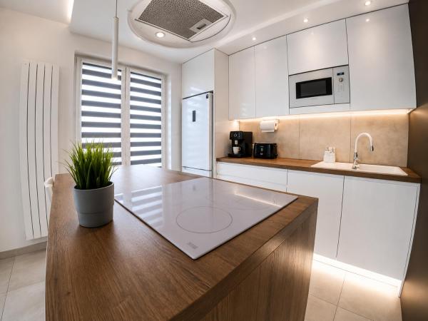 Miko Apartment 2 - Posen