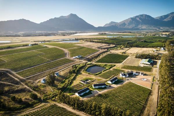 Rijk's Wine Estate & Guesthouse - Tulbagh