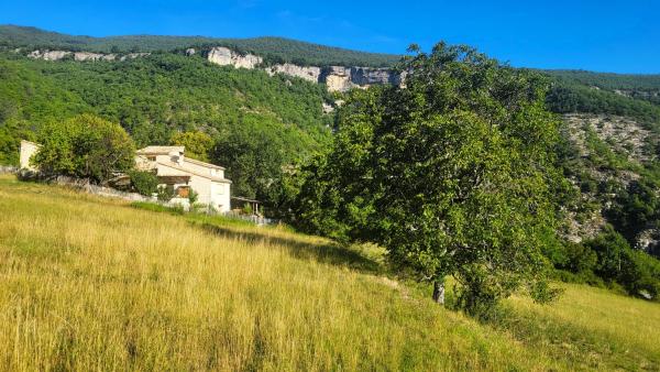 La Bergerie Du Grand Tilleul - Annot