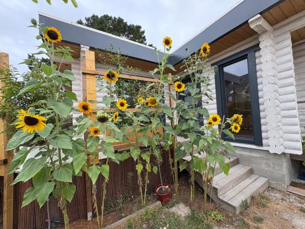 Maison éCologique Bois 300m Océan - Batz-sur-Mer