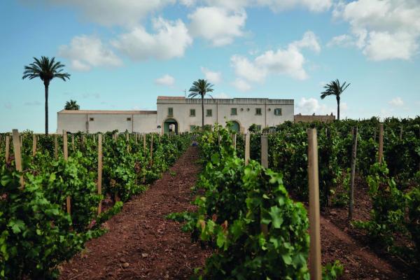 Agriturismo Baglio Donnafranca Wine Resort - Sicily
