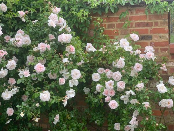 The Field's View- Peaceful Barn Retreat - Northamptonshire
