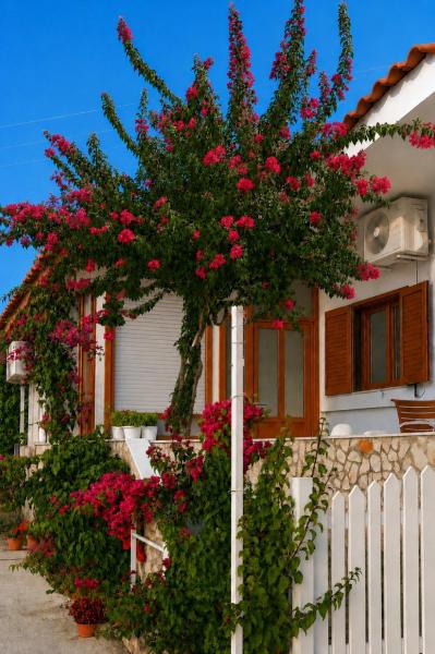 Luxury Dennis Home - Albanie