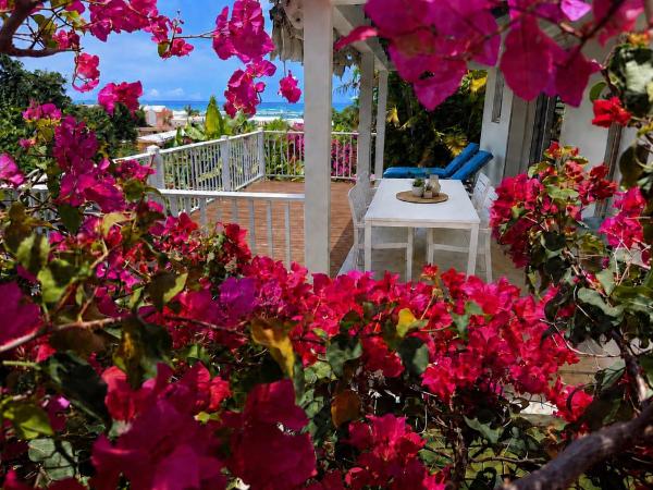 Le Lagon Bleu, Bungalows Vue Sur Mer , 350 M De La Plage - Guadeloupe