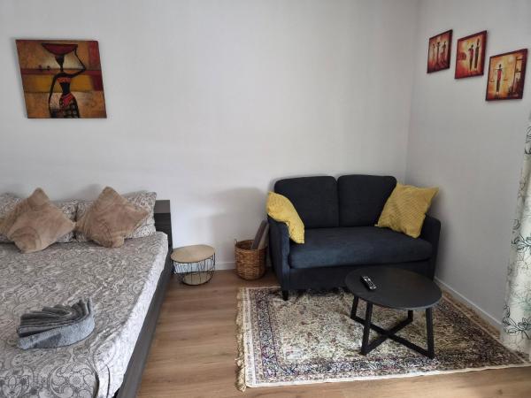Cozy Studio Opéra - Dijon