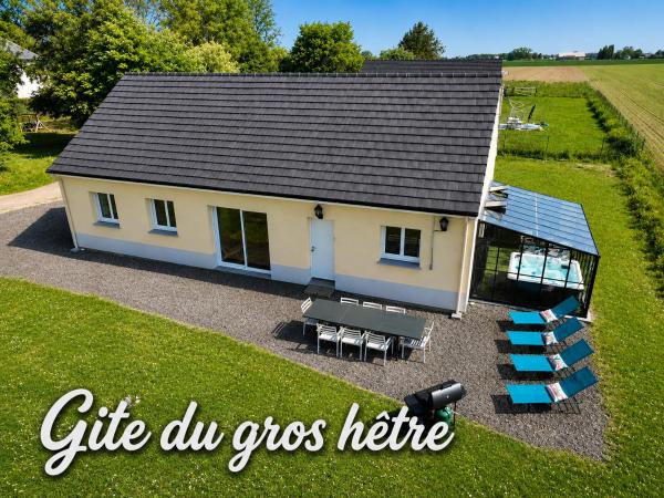 Le Gros Hêtre - Haute-Normandie
