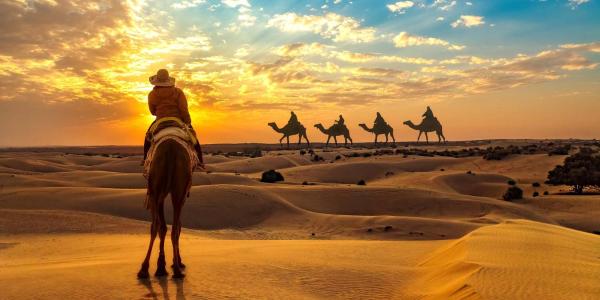 Surya Bagh Luxury Desert Camp - Jaisalmer