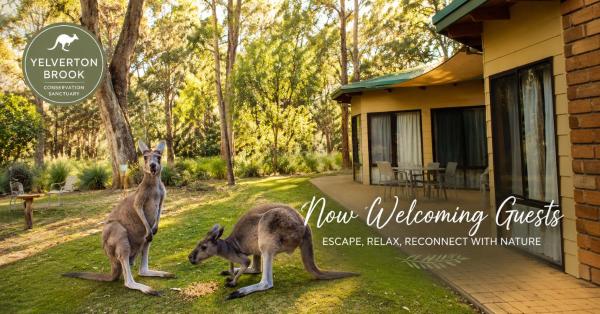 Yelverton Brook Conservation Sanctuary - Busselton