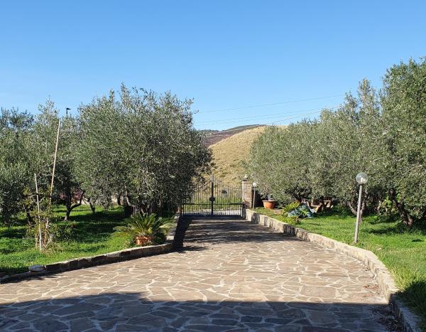 Casazzurra, Benvenuti Al Sud! - San Mauro Cilento