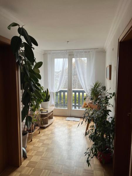Gustavo Apartamento - Appenzell