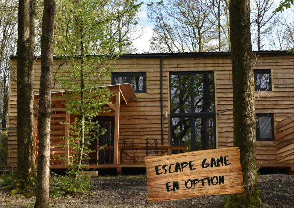Gite Cocon Dans La Forêt - Wallonië
