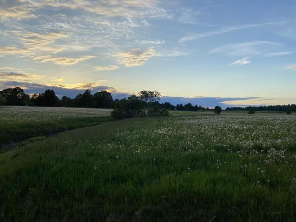 Floral Villa ÖRebro - Örebro län