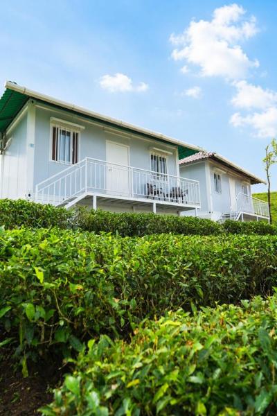 Peach Berry Resort - Vagamon